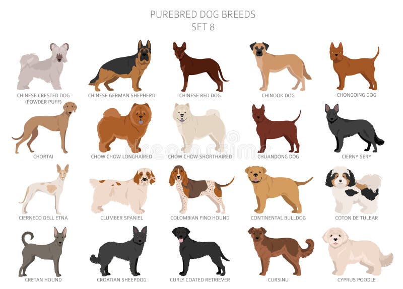 Collection of All Dog Breeds. Collection in 28 Sets Stock Vector ...