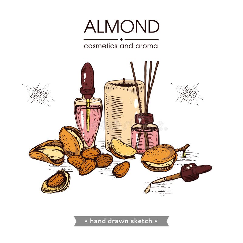 Collection of Almond with Cosmetics and Essential Oils Stock Vector ...