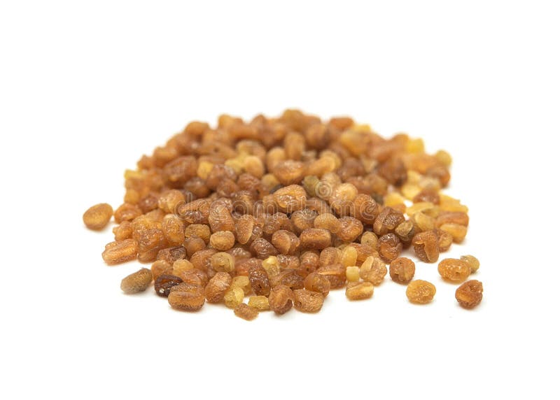 Andrographis Paniculata on White with Clipping Path Stock Image - Image ...