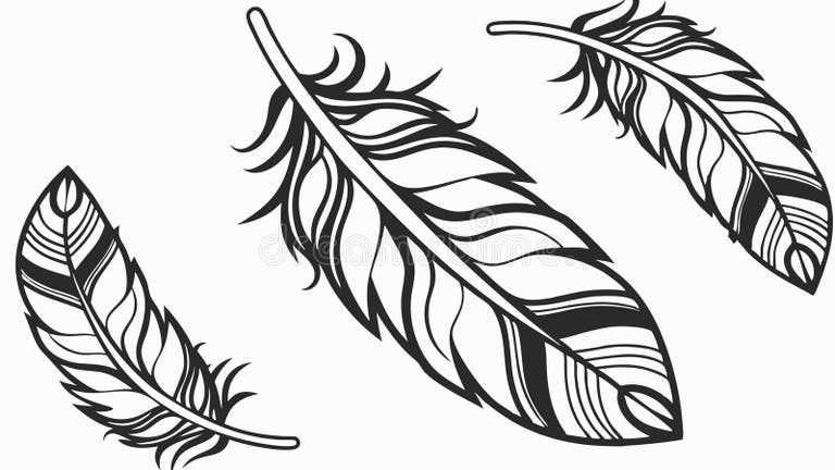 Collection of Assorted Feathers Vector Illustrations, Natural Avian ...