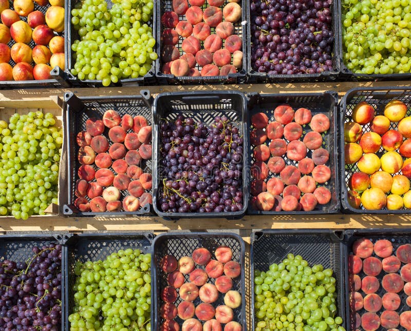 Collection of Assorted Fruits Stock Photo - Image of color, food: 98911038