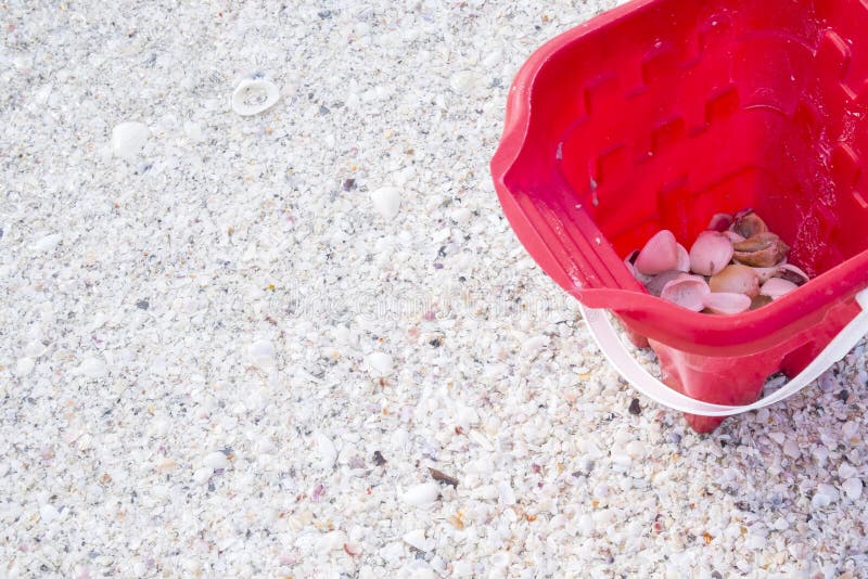 A Collection of Assorted Seashells in a Bucket Stock Image - Image of ...
