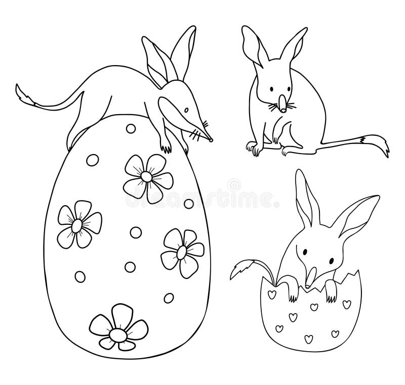 Collection of Australian Animal Bilbies with Easter Egg. Isolated ...