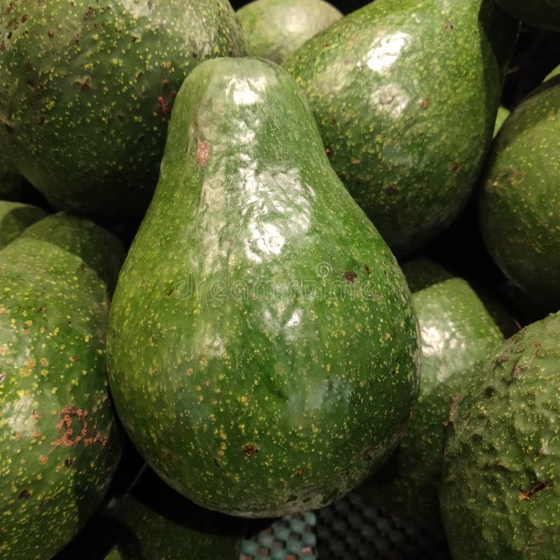 A Collection of Avocado Fruit Looks Close Stock Image - Image of close ...