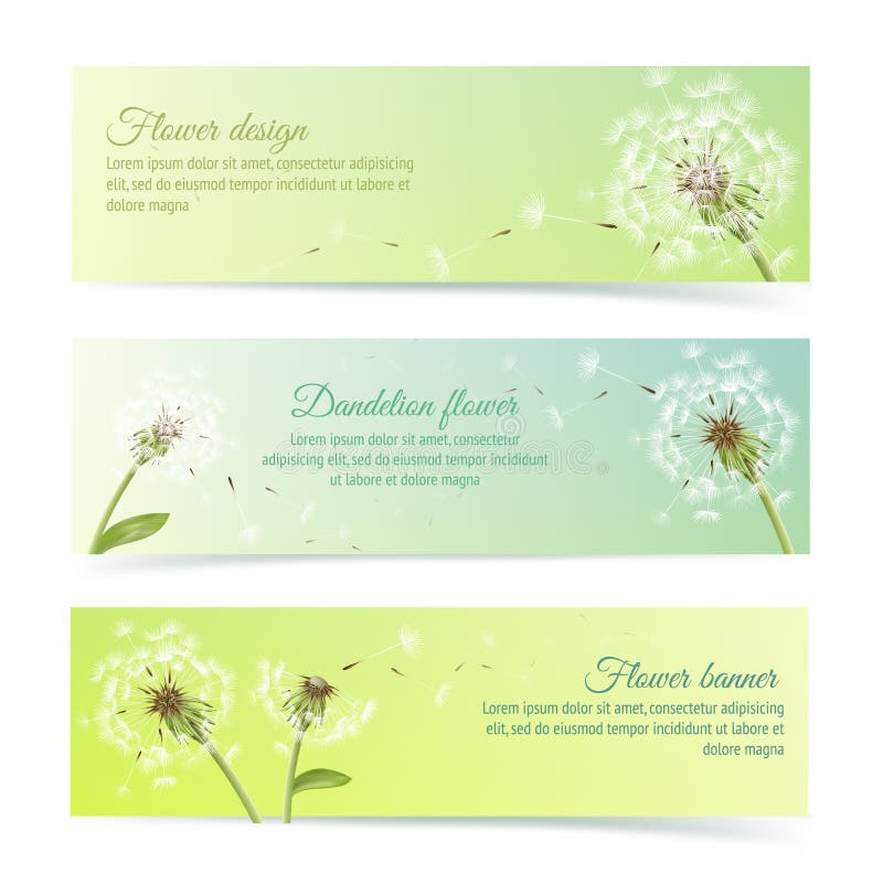 Collection of Banners and Ribbons with Dandelion Stock Vector ...
