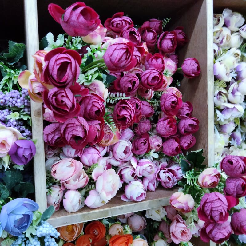 A Collection of Beautiful Colorful Flowers on a Storage Shelf Stock ...