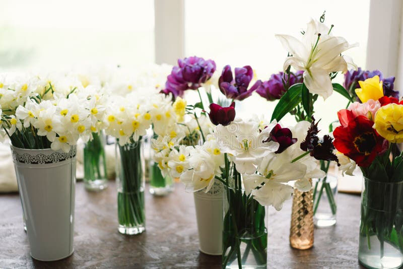 Collection of Beautiful Fresh Flowers in Stylish Vases Stock Image ...