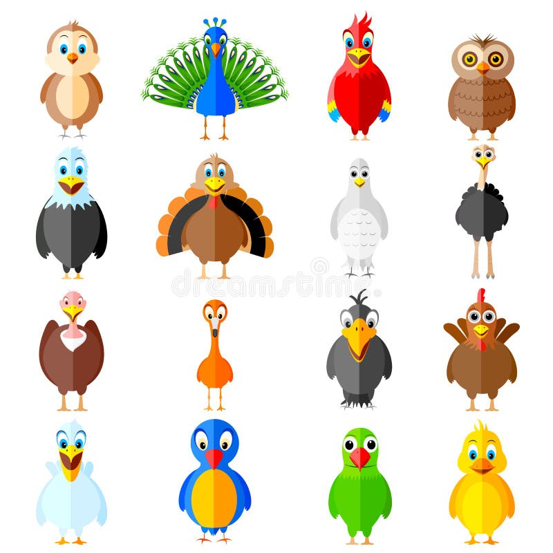 Collection of birds stock vector. Illustration of owlet - 41899709