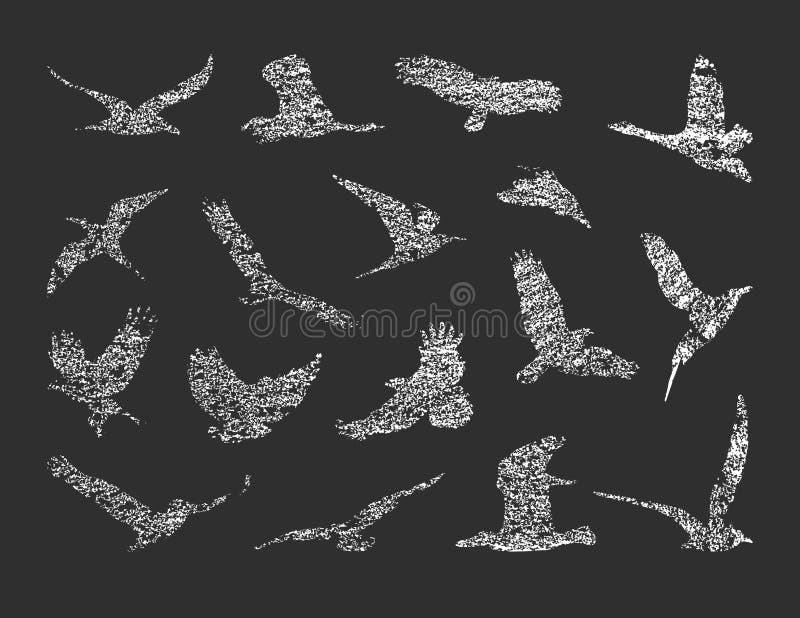 Collection of Birds. Vector Eps 8 Stock Vector - Illustration of diving ...