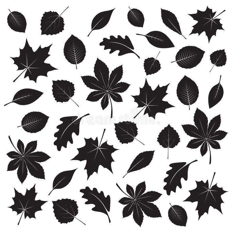 Collection of Black Leafs. Vector Illustration Stock Illustration ...