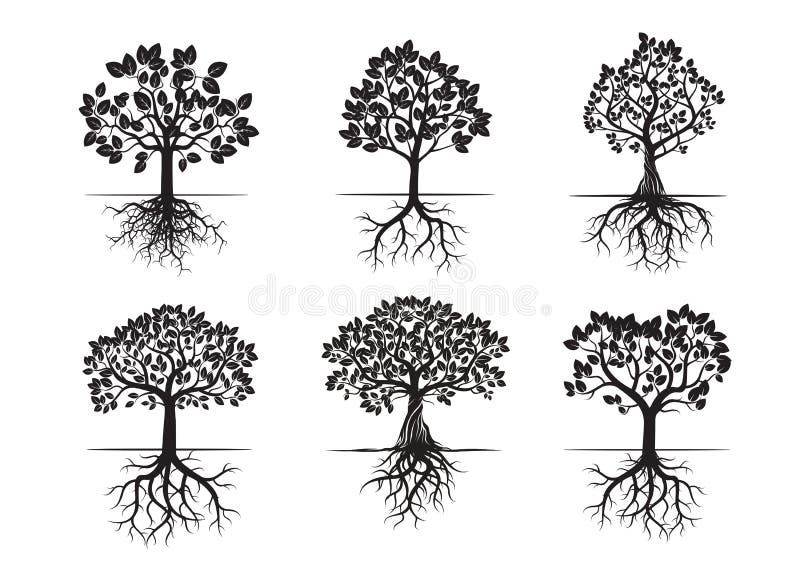 Collection of Black Trees and Roots. Vector Illustration. Stock ...
