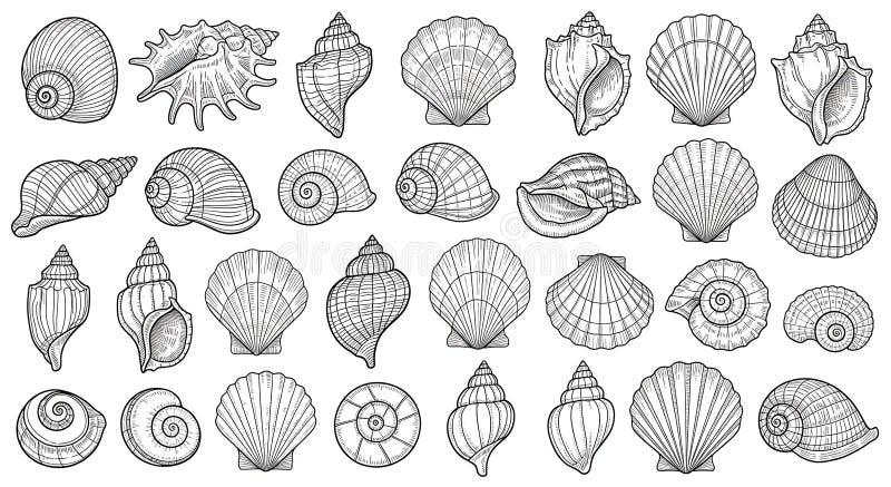 A Collection of Black-and-white Illustrations Depicting Various ...