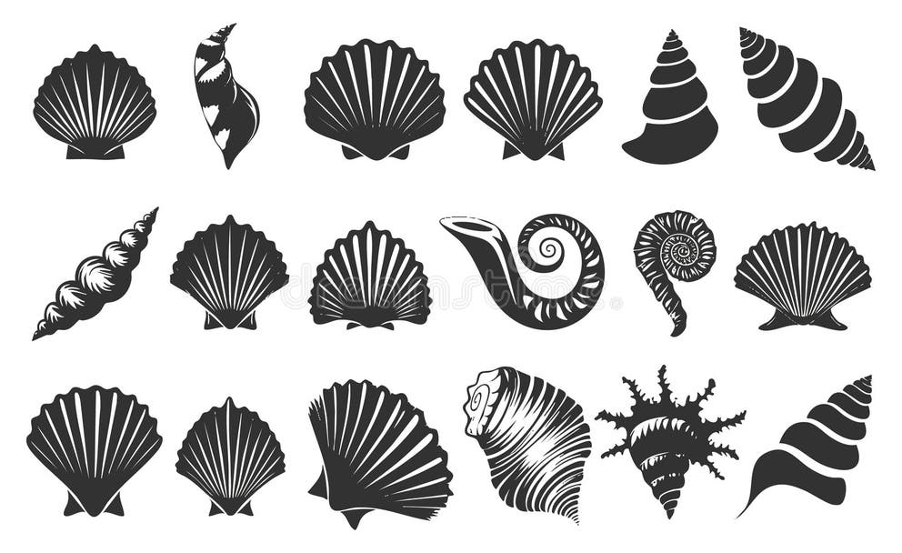 Collection of Black and White Seashell Illustrations in Various Designs ...
