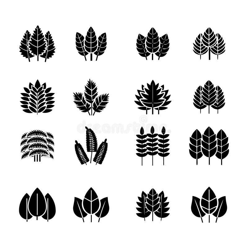 Collection of Black and White Silhouettes of Various Leaf Stock ...
