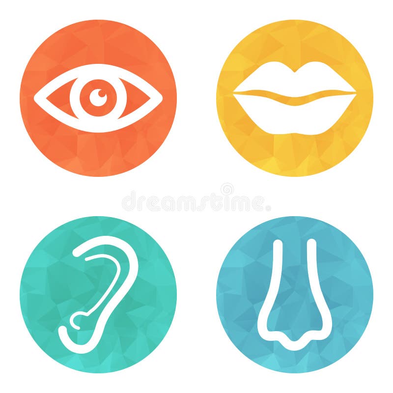 Collection of body parts. stock illustration. Illustration of people ...
