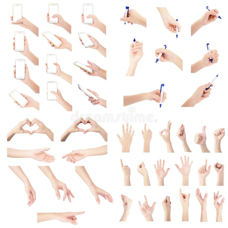 Collection of Body Parts in Various Poses on a White Background Stock ...