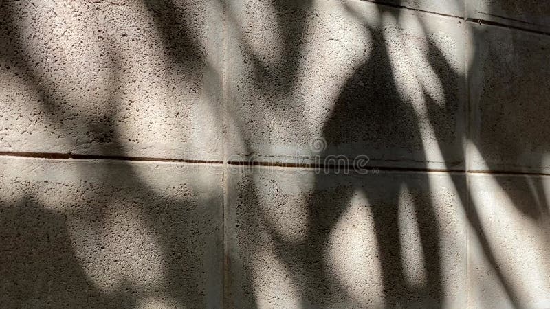 Collection of Bokeh Circle Lights Moving on the Old Cement Wall ...