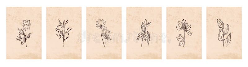 Collection of 6 Botanical Illustrations. Line Art of Plants, Drawing ...
