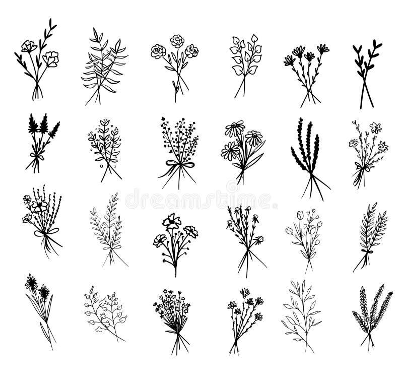 Collection of Bouquets of Wild Flowers.Flower Compositions Sketch.Hand ...