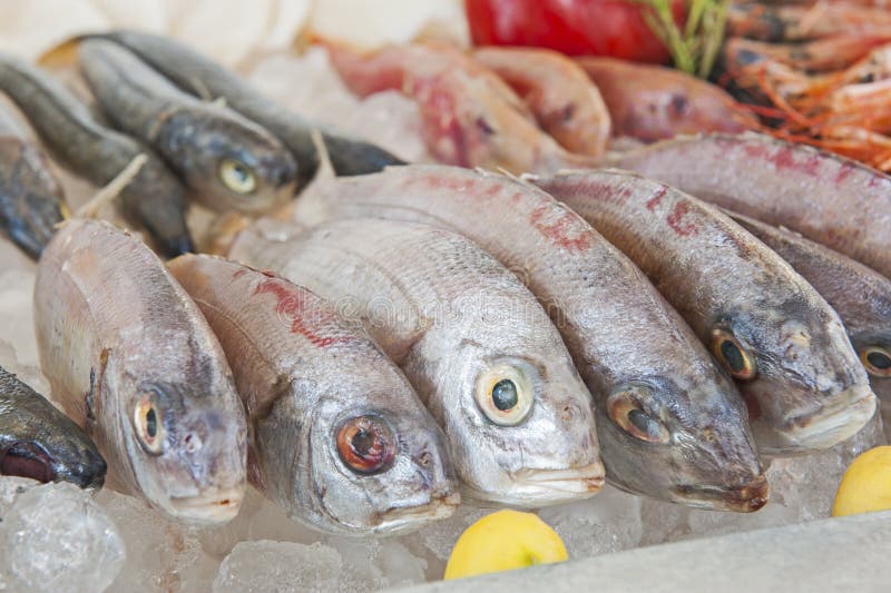Seafood Display at a Hotel Buffet Stock Photo - Image of luxury ...