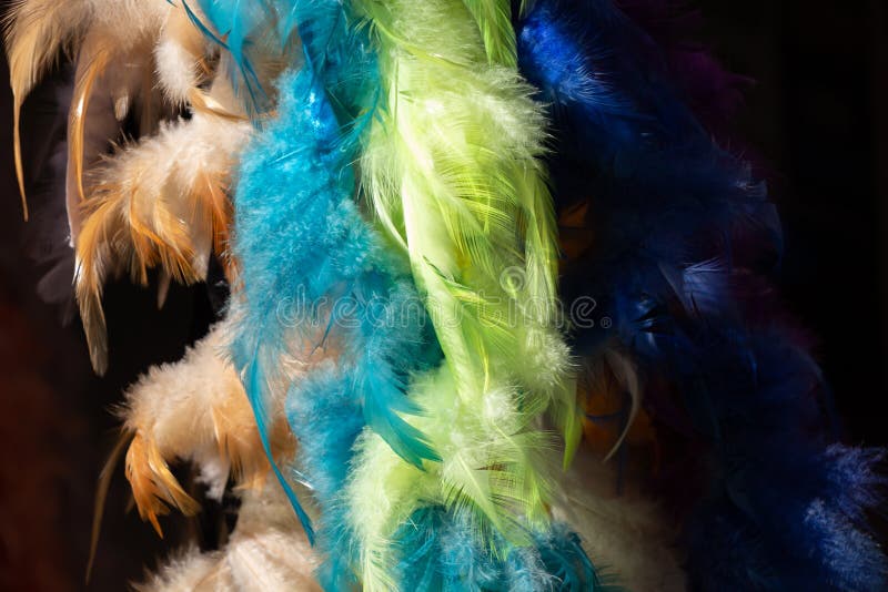 Collection of Bright Colored Bird Feathers Stock Image - Image of ...