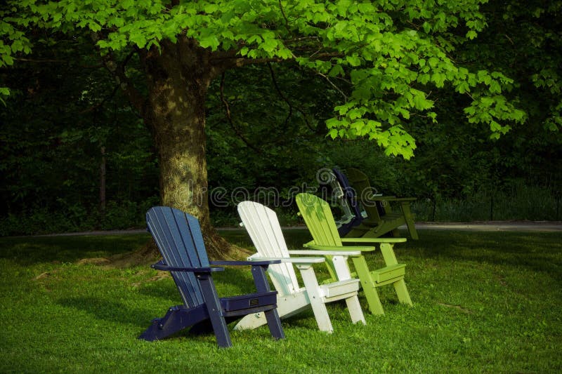 Collection of Bright Lawn Chairs Situated on a Grassy Field Near Trees ...