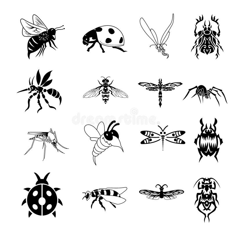 Vector Collection of Insects Stock Vector - Illustration of beetle ...