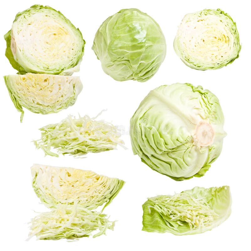 Collection of Green Cabbage Vegetables Isolated Stock Image - Image of ...