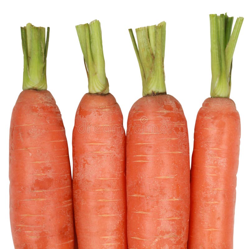 Ripe Carrots in Vegetable Garden with Empty Sign Stock Photo - Image of ...