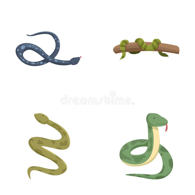Collection of Cartoon Snakes Illustrations Stock Vector - Illustration ...