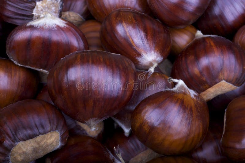 A collection of chestnuts stock photo. Image of organic - 34863606