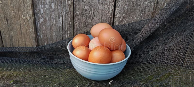 Collection of Chicken Eggs in a Blue Bowl. Chicken Eggs are a Good ...