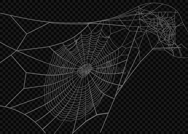 Collection of Cobweb, on Black, Transparent Background. Stock Vector ...