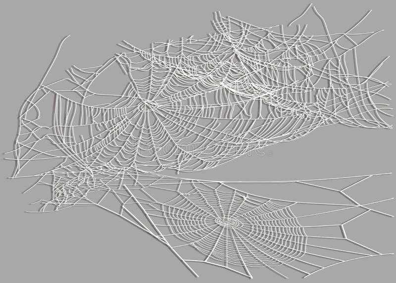 Collection of Cobweb, on Black, Transparent Background. Stock Vector ...