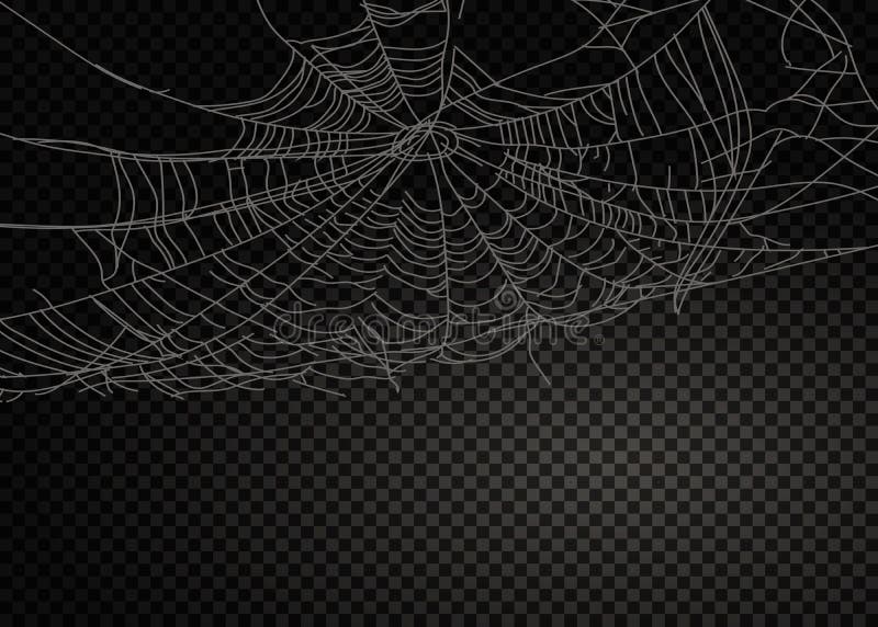 Collection of Cobweb, on Black, Transparent Background. Stock Vector ...