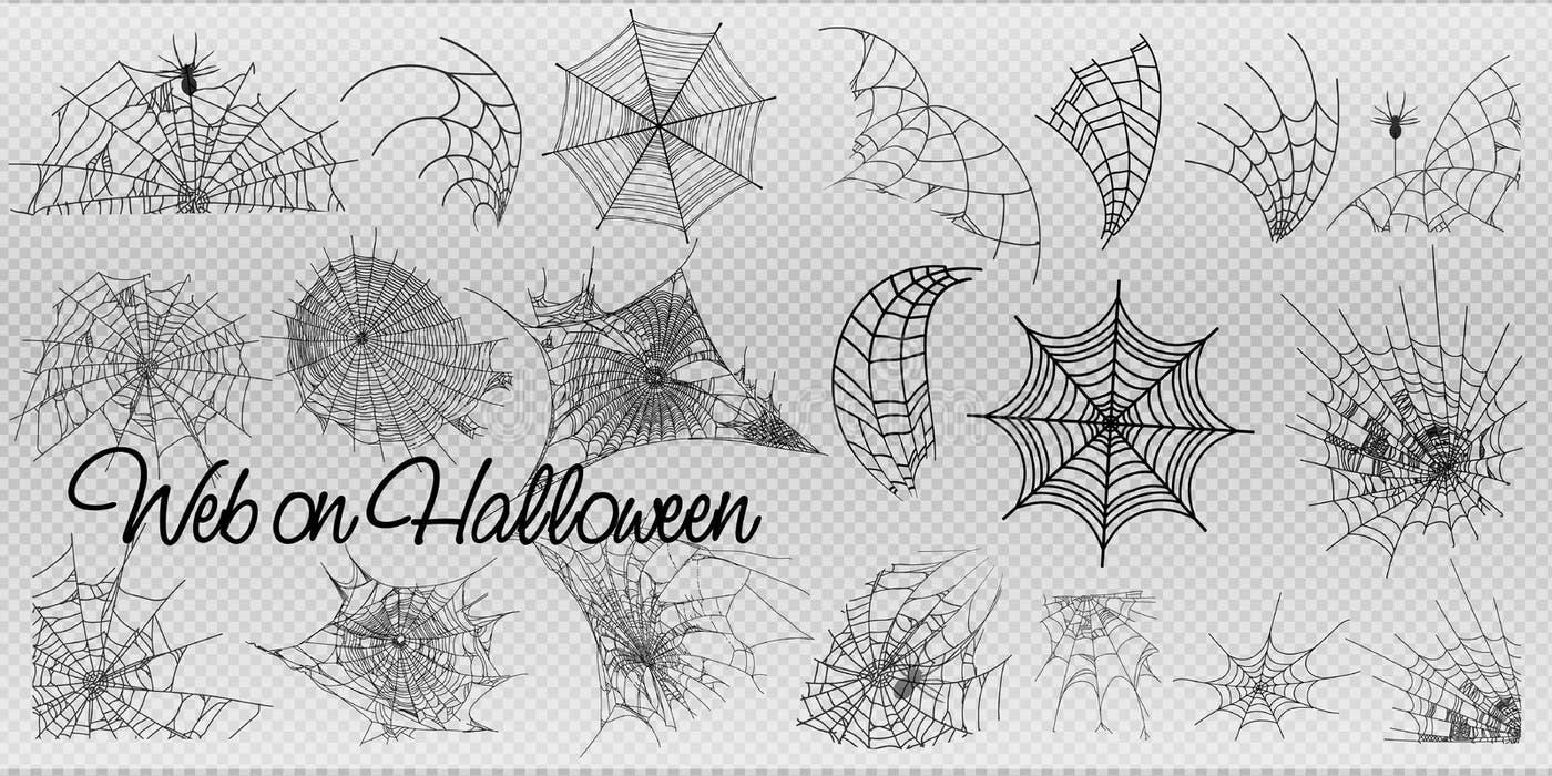 Cobweb Isolated Transparent Stock Illustrations – 696 Cobweb Isolated ... Cobweb Isolated Transparent Stock Illustrations – 696 Cobweb Isolated ...