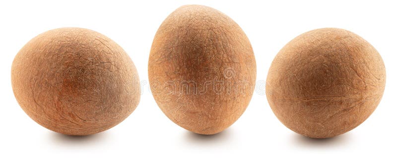 Collection of Coconuts without Shell Isolated on a White Background ...