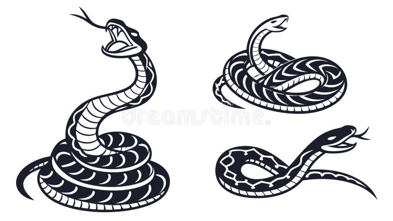 Various Coiled Poses Vector Stock Illustrations – 51 Various Coiled ...