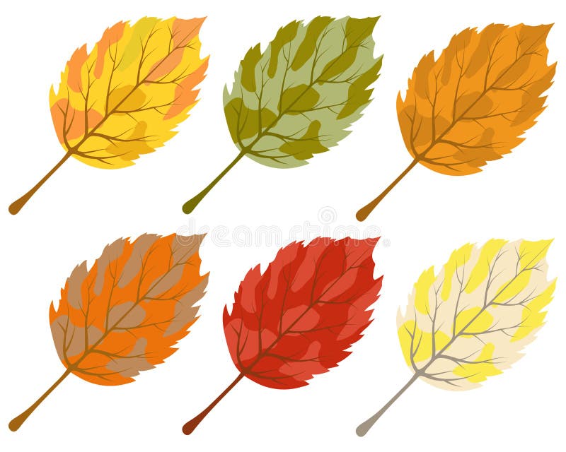 Hand drawn leaves stock vector. Illustration of icon - 11053231