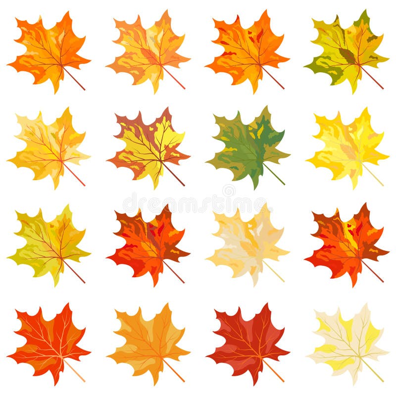 Vector Leaves Set stock vector. Illustration of decoration - 32242965