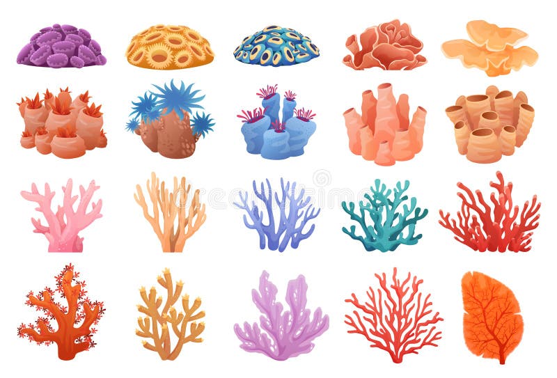 Collection of Colored Corals of Different Shapes, Coral Reef. Stock ...
