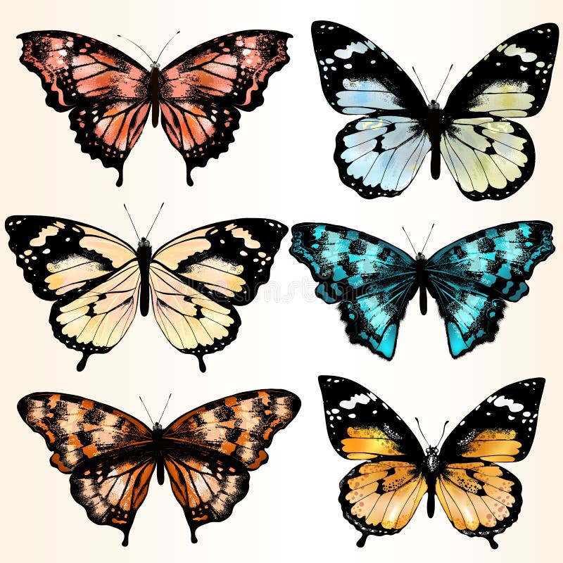 Collection of Colorful Butterflies for Design Stock Vector ...