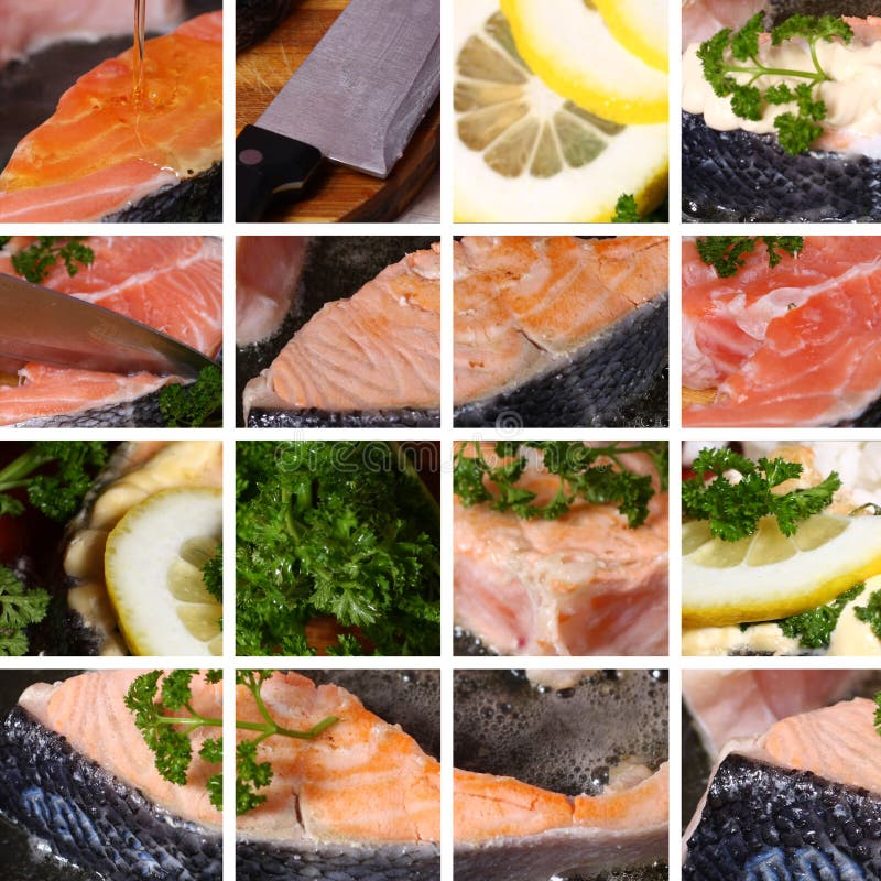 Collection cooking fish stock image. Image of preparation - 8416169
