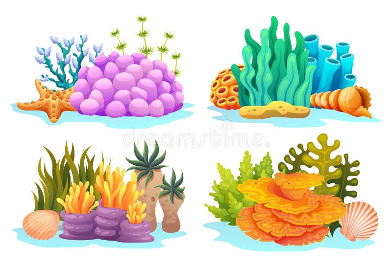 Collection of Coral Reefs, Algae, Seaweed and Seashells in Various ...