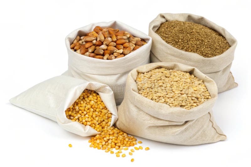 Collection of Corn Kernels and Grain Bags Stock Illustration ...