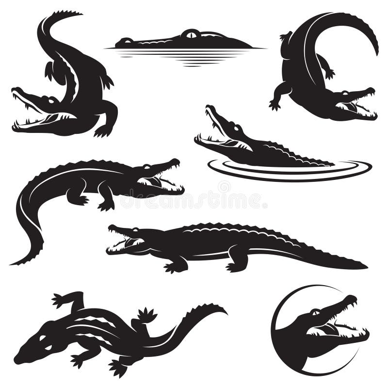 Crocodile Icons Set Vector Outline Stock Vector - Illustration of ...