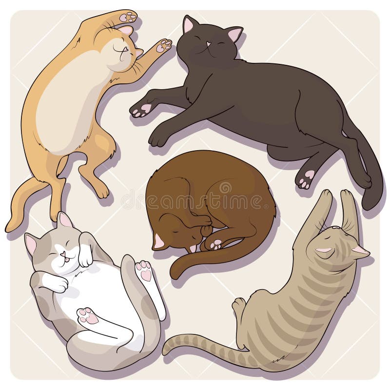 Collection Of Cute Cartoon Cats In Various Poses Funny Vector