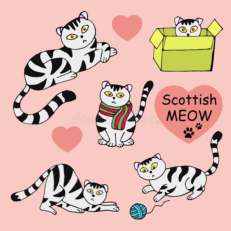 Collection of Cute Cats Scottish Stock Vector - Illustration of ...