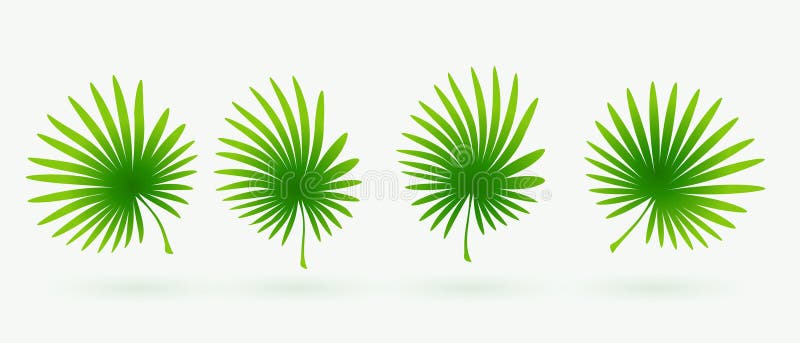 Collection of Cute and Greenery Flora Background Design Stock Vector ...