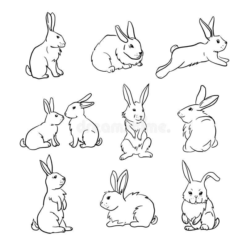 Cute Hand Draw Rabbit in Different Poses. Set of Illustrations of Bunny ...